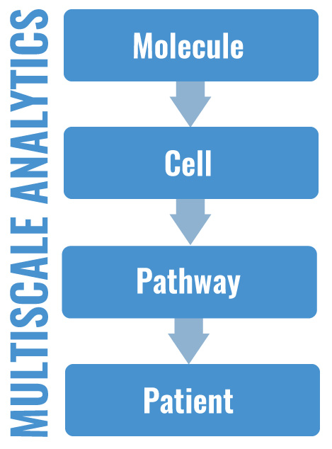 multiscale - IOMICS DISCOVERY